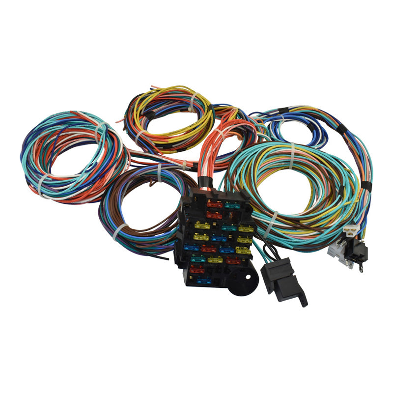 Universal 21 Circuit Wiring Harness for Hot Rods, Muscle Cars, Trucks ...